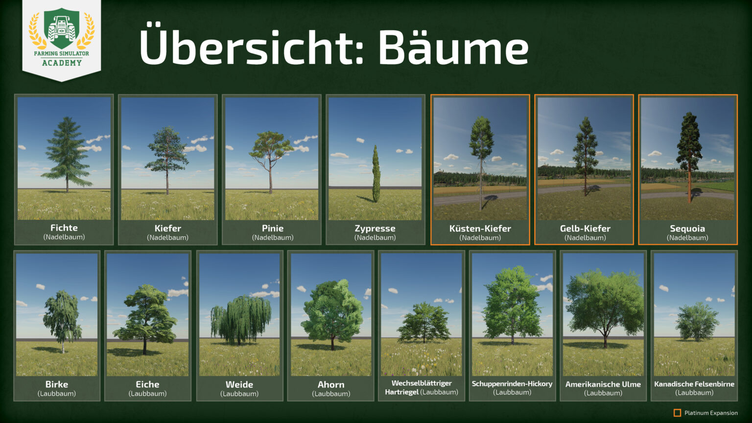 Holzwirtschaft im FS22 | AgraZ Mods | Dem Stamm unter die Rinde geschaut