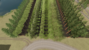 Holzwirtschaft im FS22 | AgraZ Mods | Dem Stamm unter die Rinde geschaut