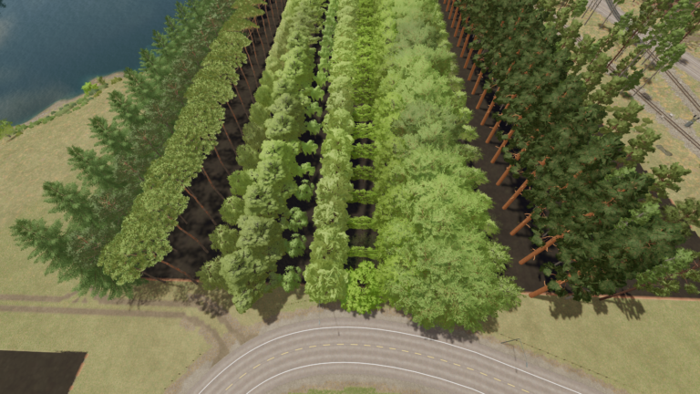 Holzwirtschaft im FS22 | AgraZ Mods | Dem Stamm unter die Rinde geschaut