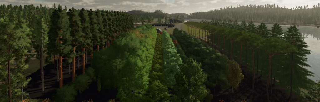 Timber Management in FS22 | AgraZ Mods | Looking under the bark of the ...